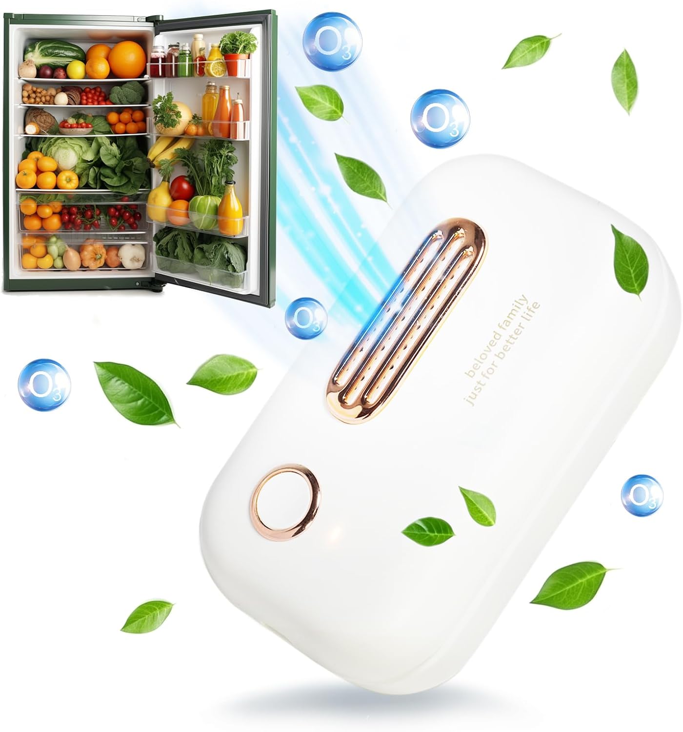 Amazon.com: 1st Heaven Compact Fridge Deodorizer: Refrigerator Smell ...