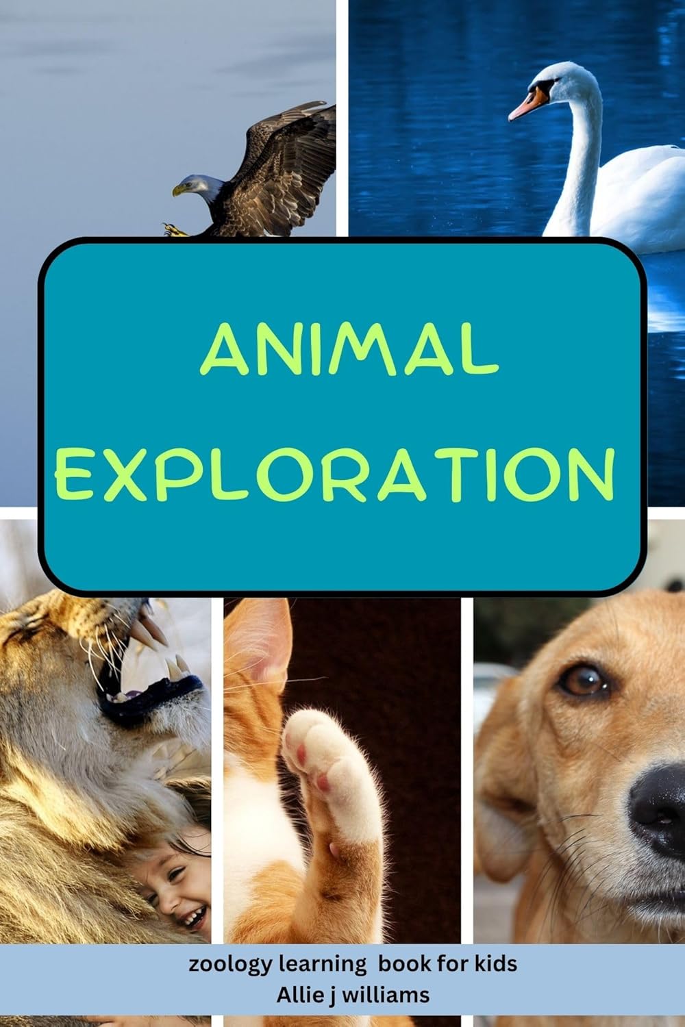 ANIMAL EXPLORATION : ZOOLOGY LEARNING BOOK FOR KIDS - Kindle edition by ...