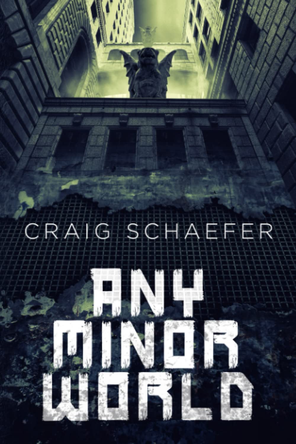 Amazon.com: Any Minor World: 9781944806255: Schaefer, Craig: Books