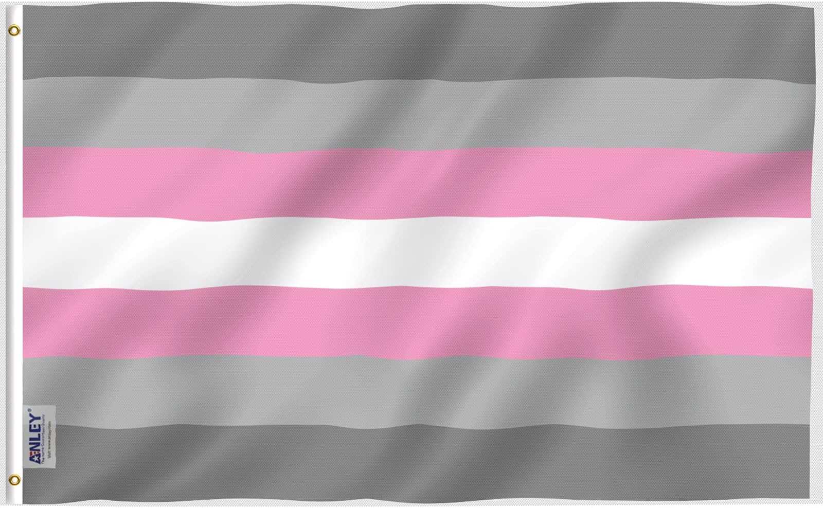 Amazon.com : Flaglink Demisexual Pride Flag 3x5 Fts - LGBTQIA ...
