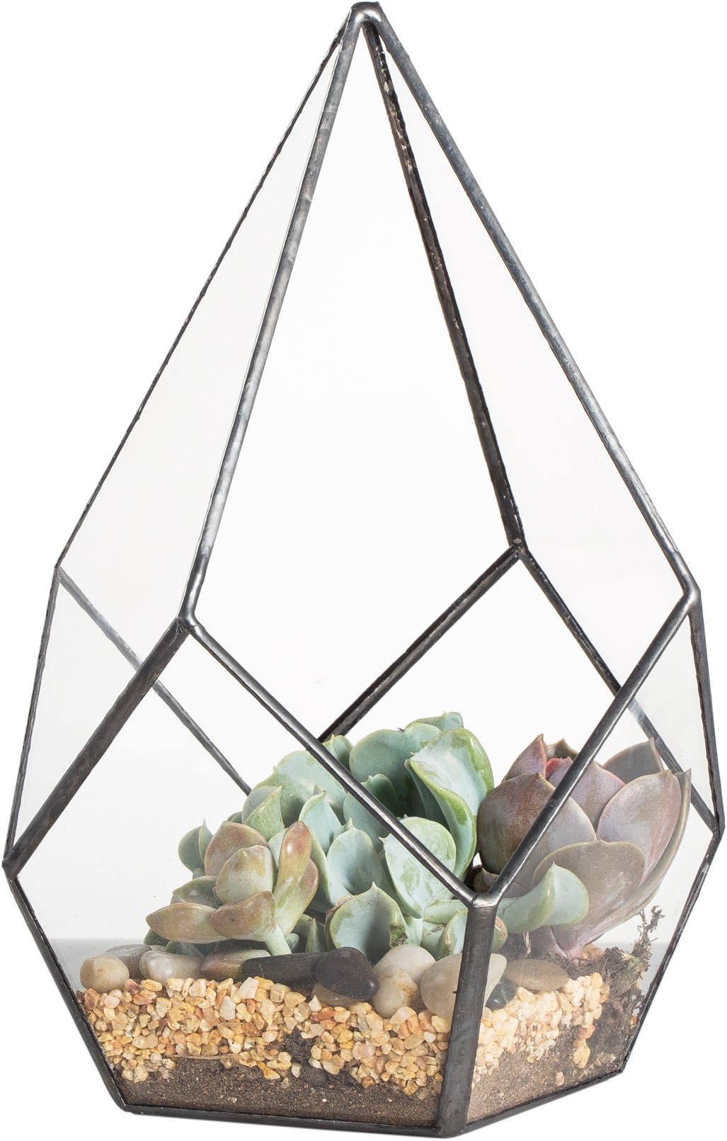 BELLE VOUS 18cm Geometric Glass Terrarium Planter - Tabletop Pentagon ...