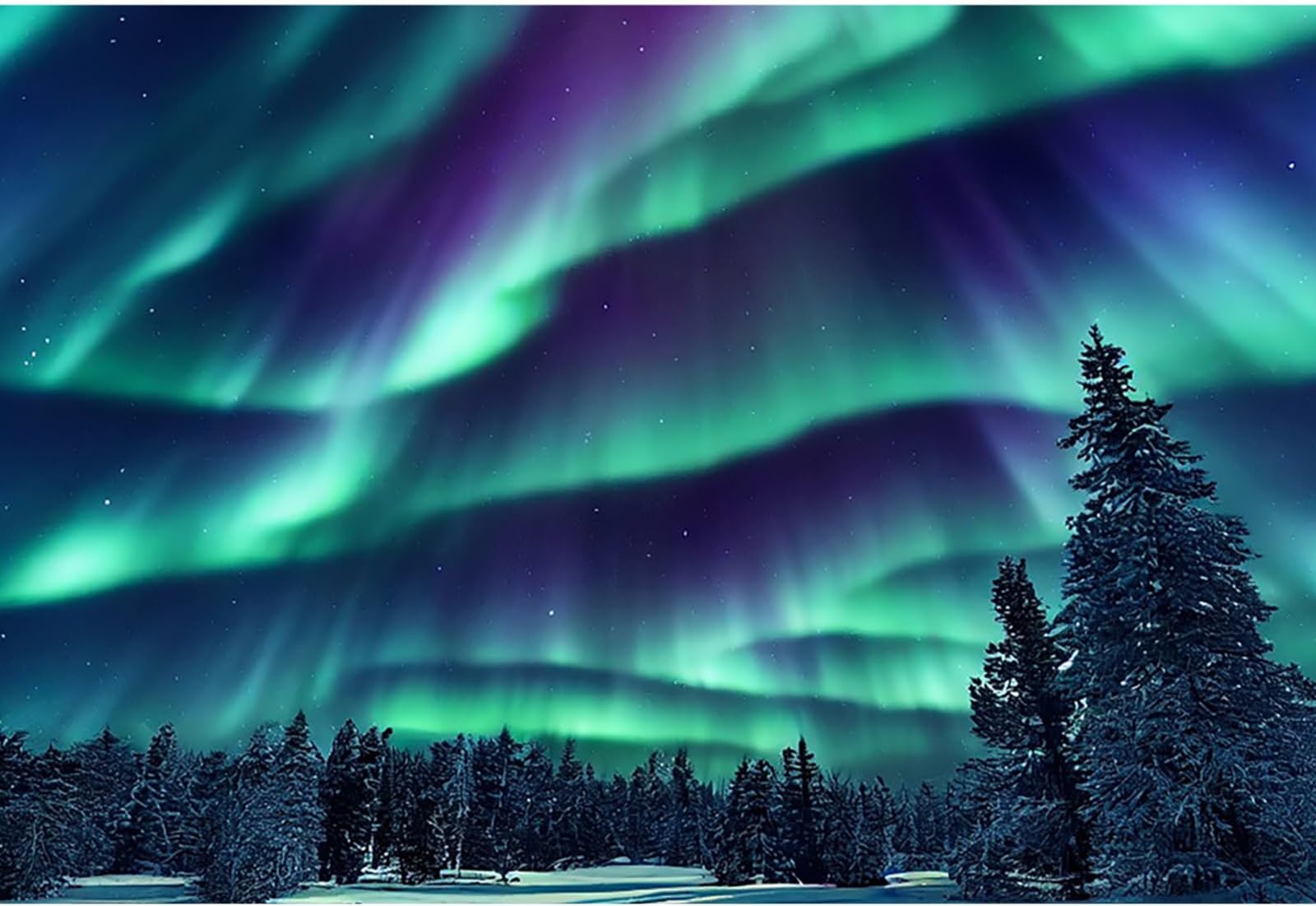 Amazon.com : Caheansi 7x5 ft Aurora Borealis Backdrop Snow-Capped ...