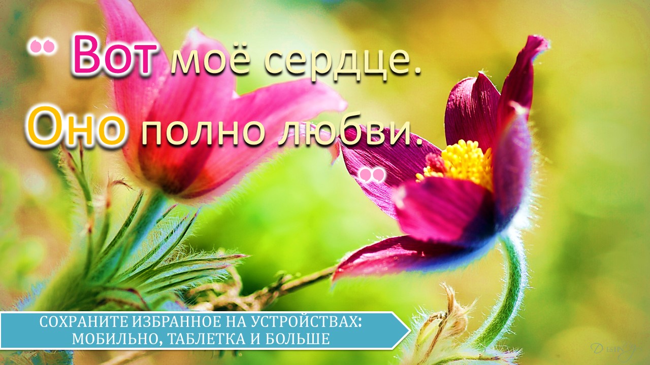 Russian Love Messages & Love Quotes - App on Amazon Appstore