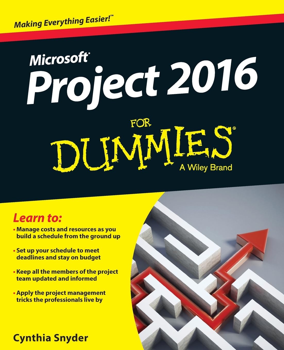 Amazon.com: Project 2016 For Dummies: 9781119224518: Snyder Dionisio ...