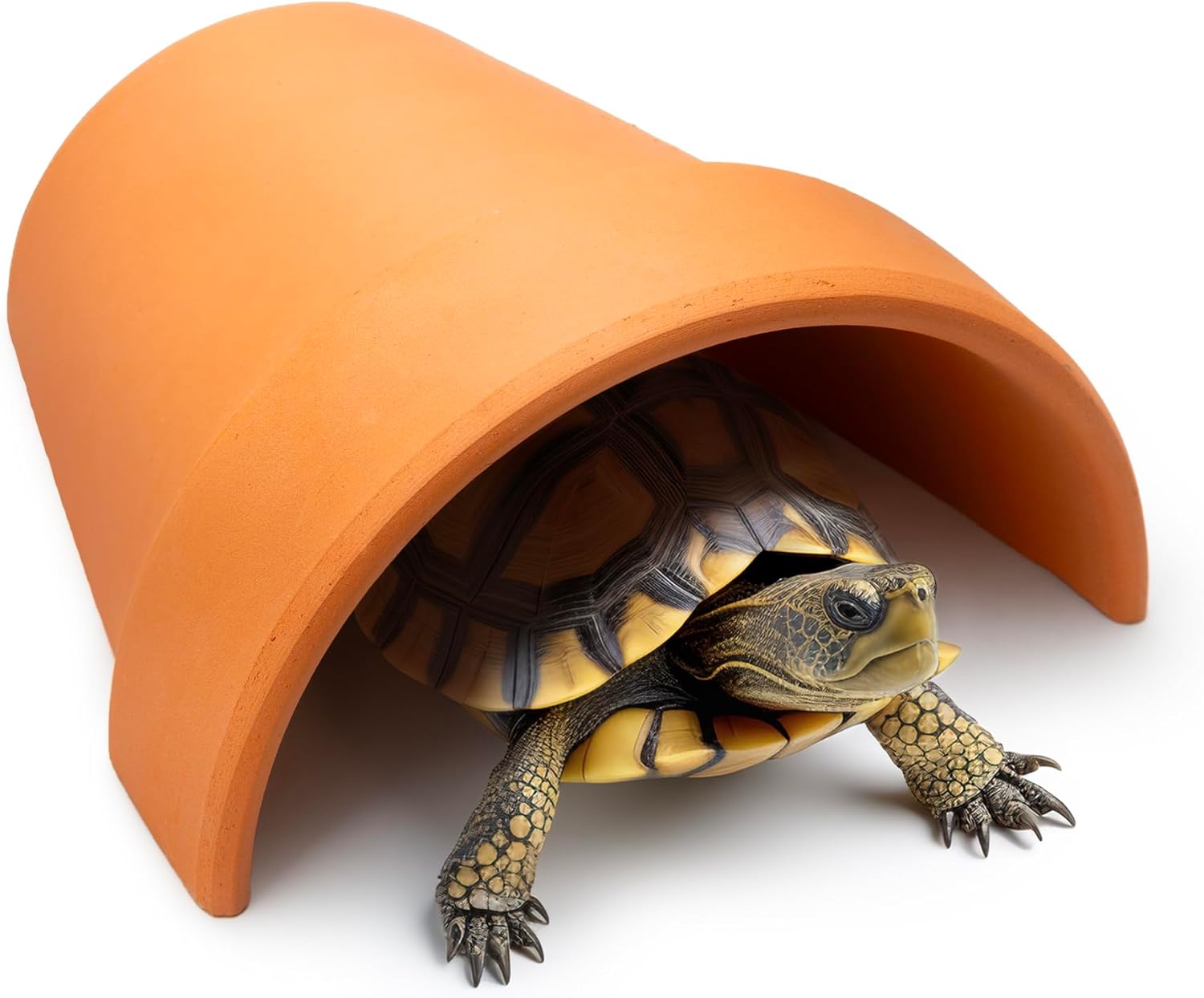 Amazon.com : Clioran Reptile Hideout Cave, Turtle Habitat Hide ...