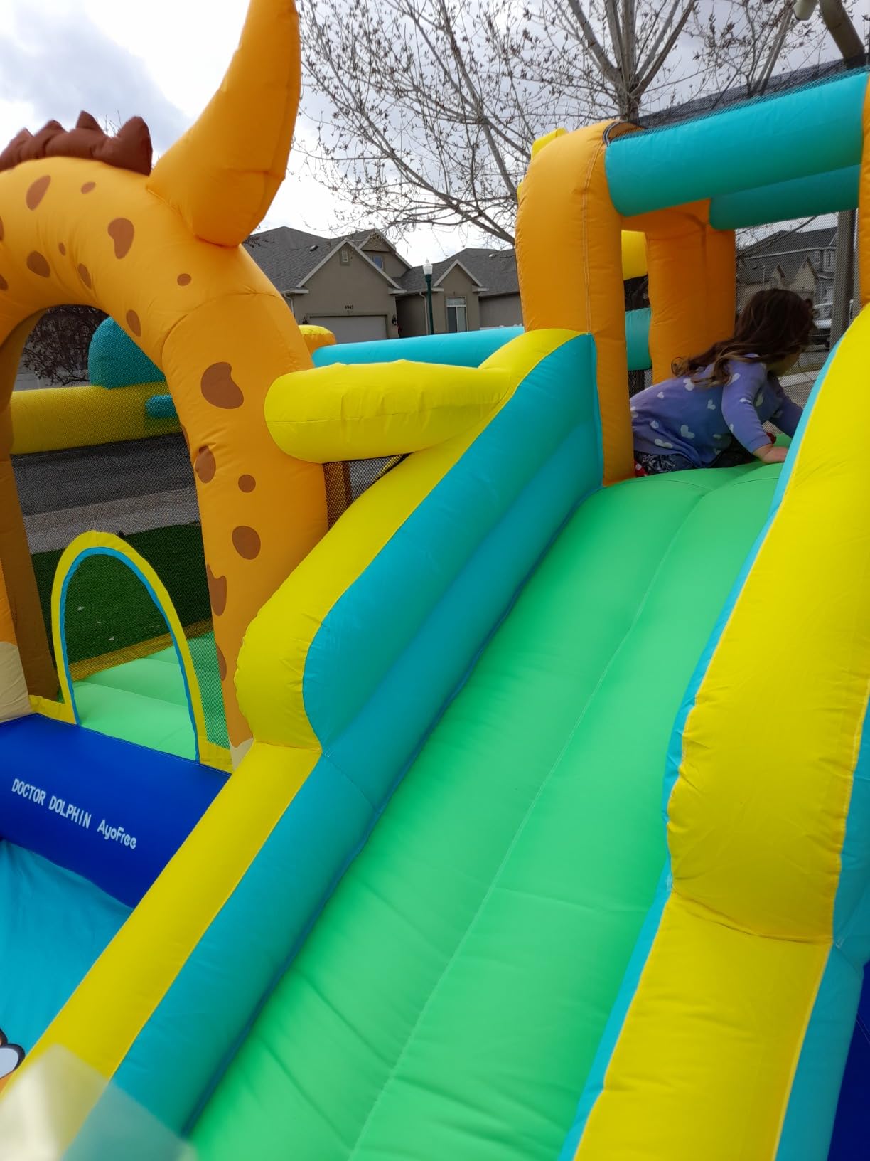 Amazon.com: Doctor Dolphin Bounce House Slide Dinosaur Inflatable ...