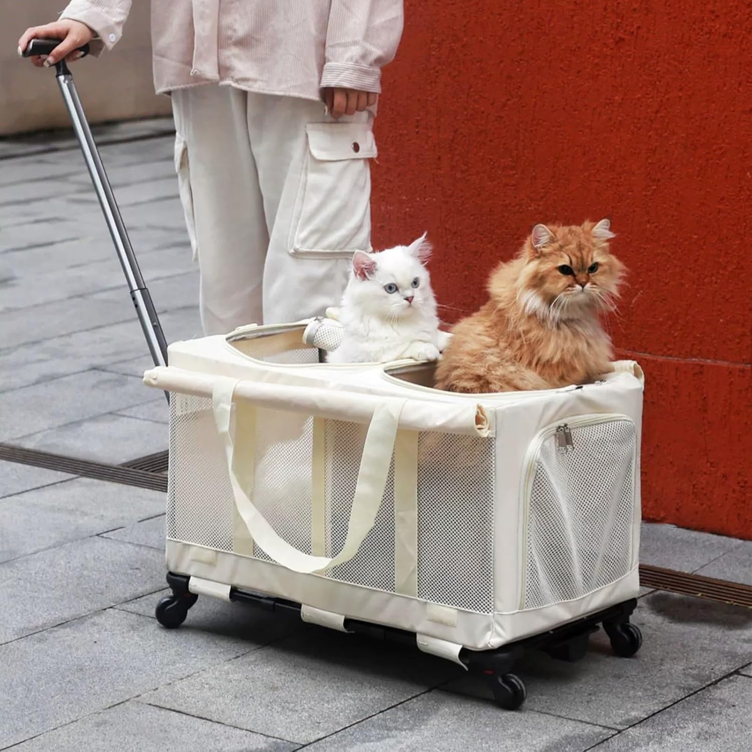 paiye Rolling Pet Carrier for 2 Cats, Double-Compartment Cat Dog ...