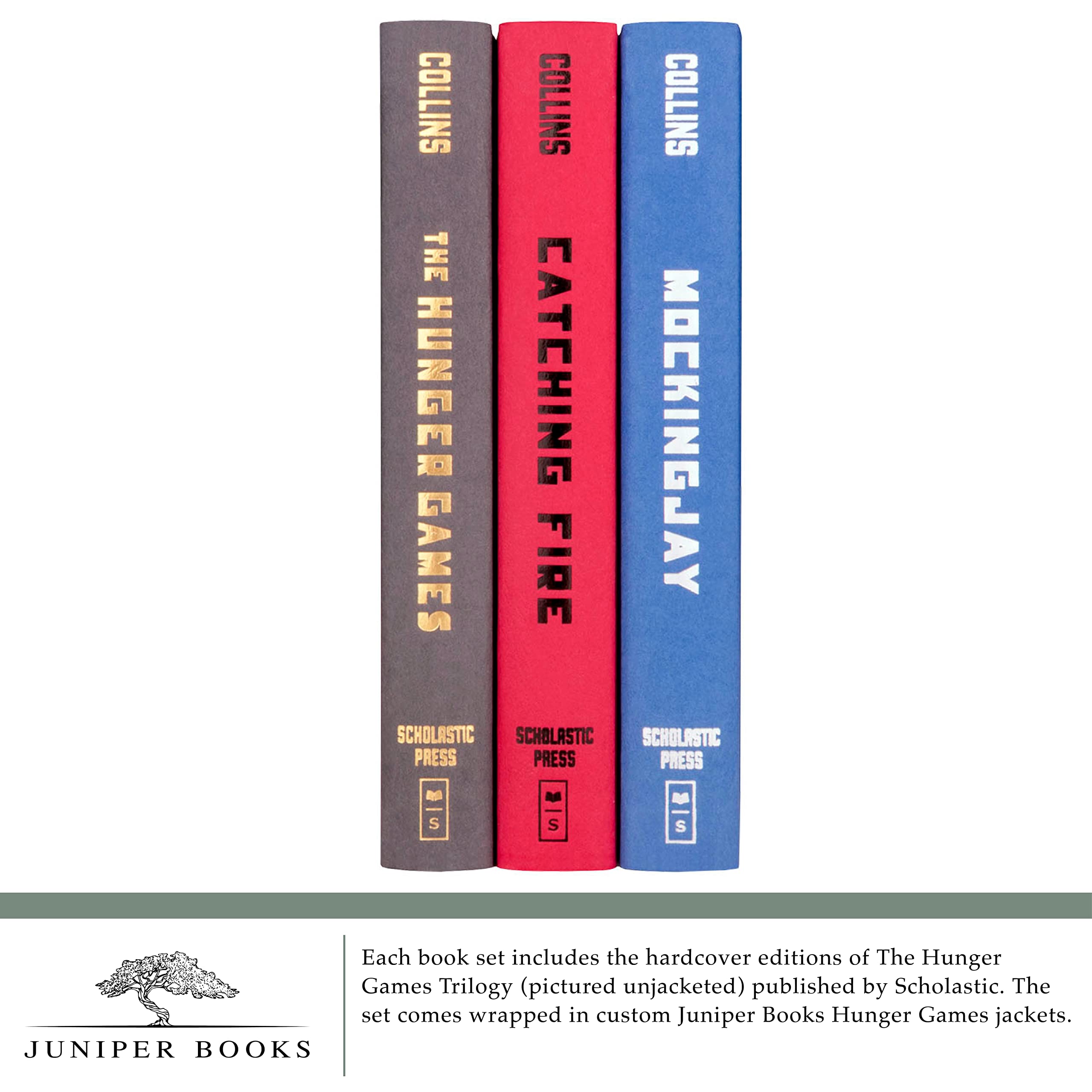 Catching Fire Book Spine