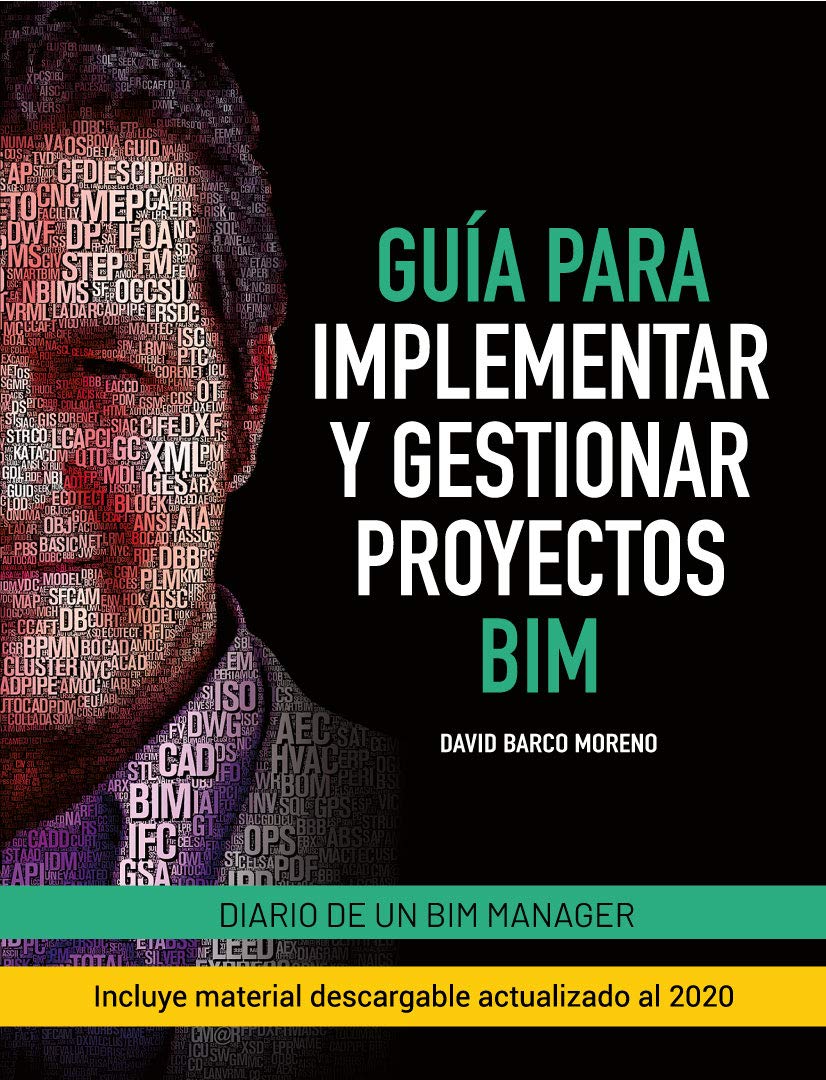 Guía para implementar y gestionar proyectos BIM: Diario de un BIM ...
