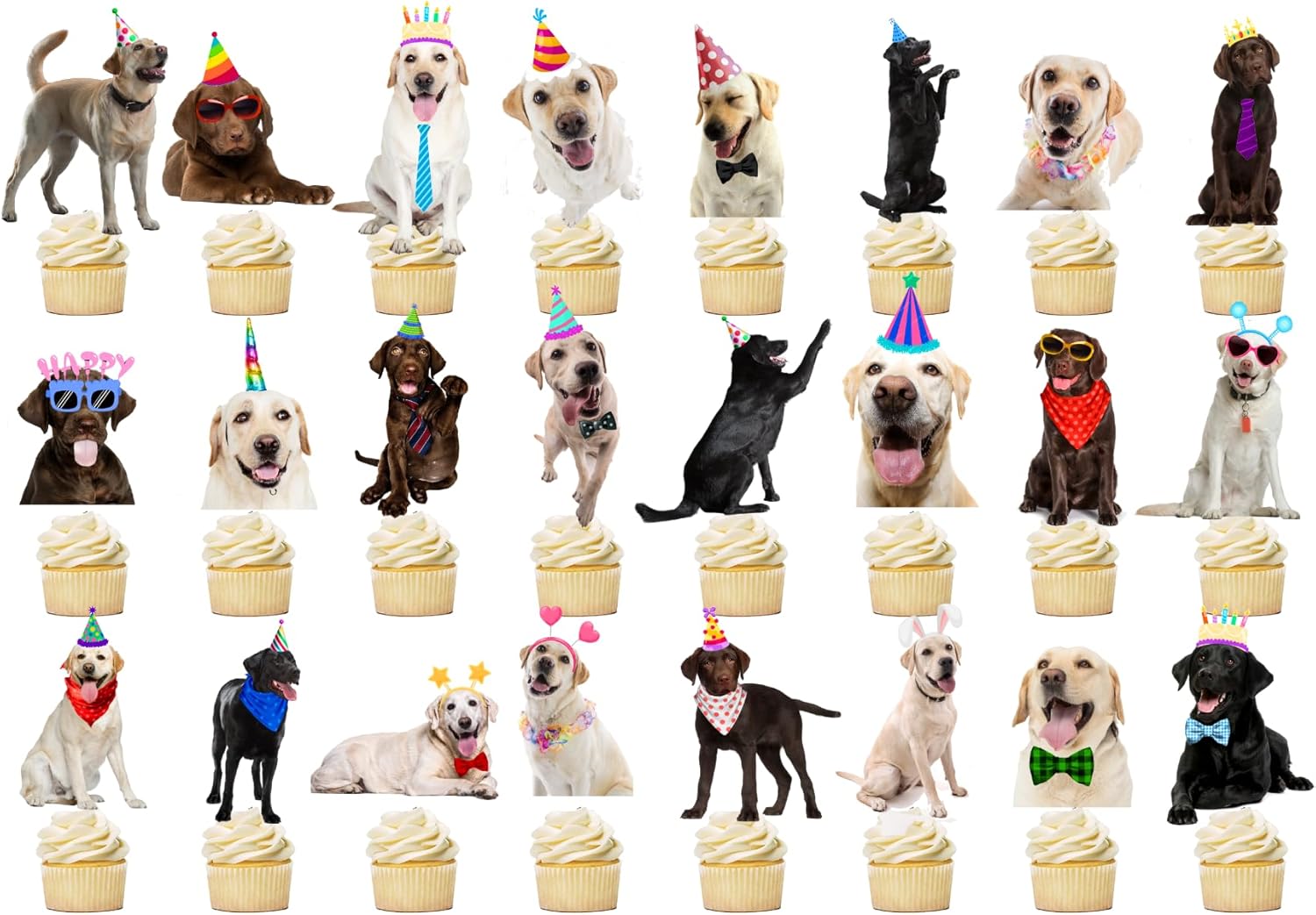 Amazon.com: Labrador Cupcake Toppers Labrador Birthday Decorations ...