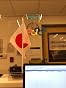Amazon.com : Anley Japan Mini Flag 12 Pack - Hand Held Small Miniature ...