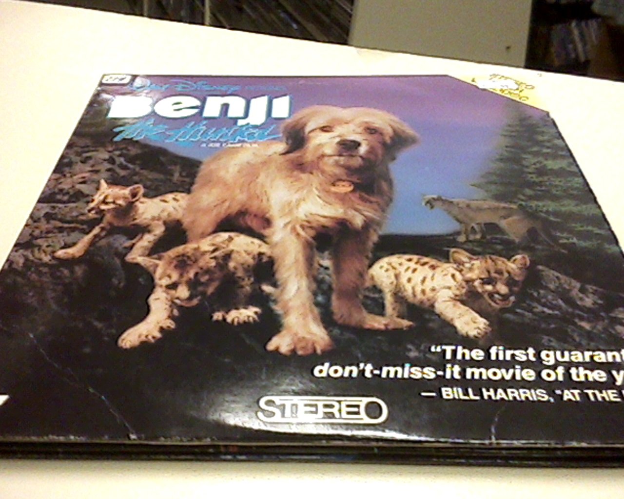 Benji the Hunted: Amazon.de: Inn, Francis: DVD & Blu-ray