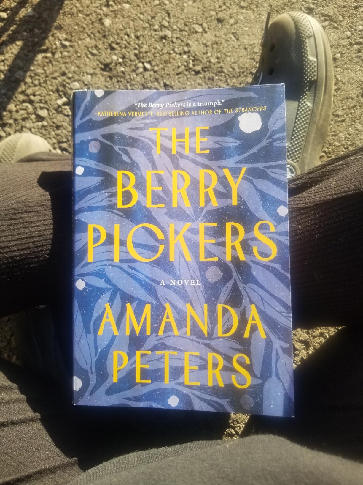 The Berry Pickers: A Novel : Peters, Amanda: Amazon.ca: Books