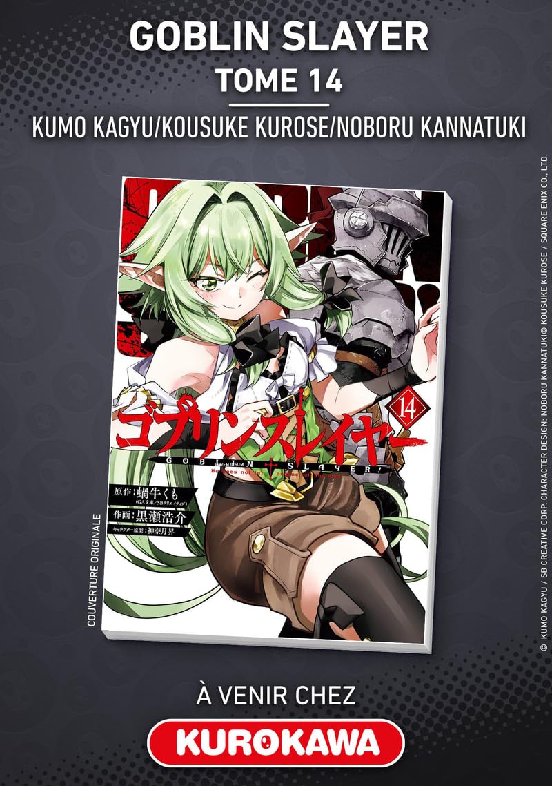 Amazon.com: Goblin Slayer - Tome 14: 9782380715613: Kagyu, Kumo, Kurose ...