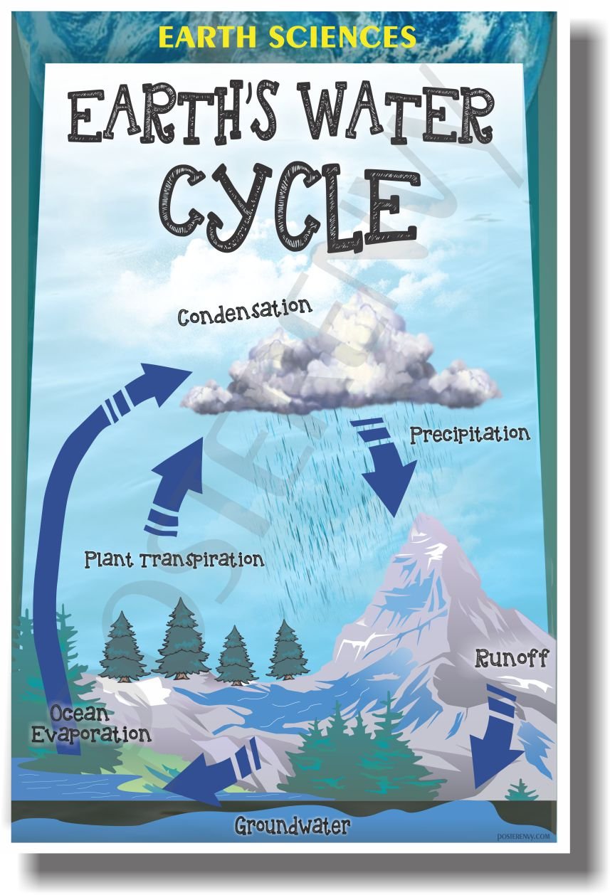 Amazon.com: Earths Water Cycle - NEW Meteorology Classroom Science ...