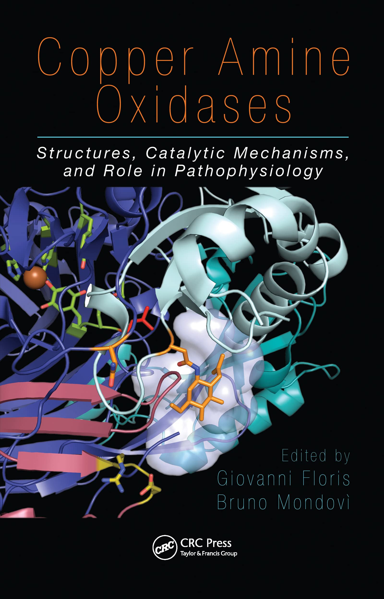 Buy Copper Amine Oxidases: Structures, Catalytic Mechanisms and Role in ...