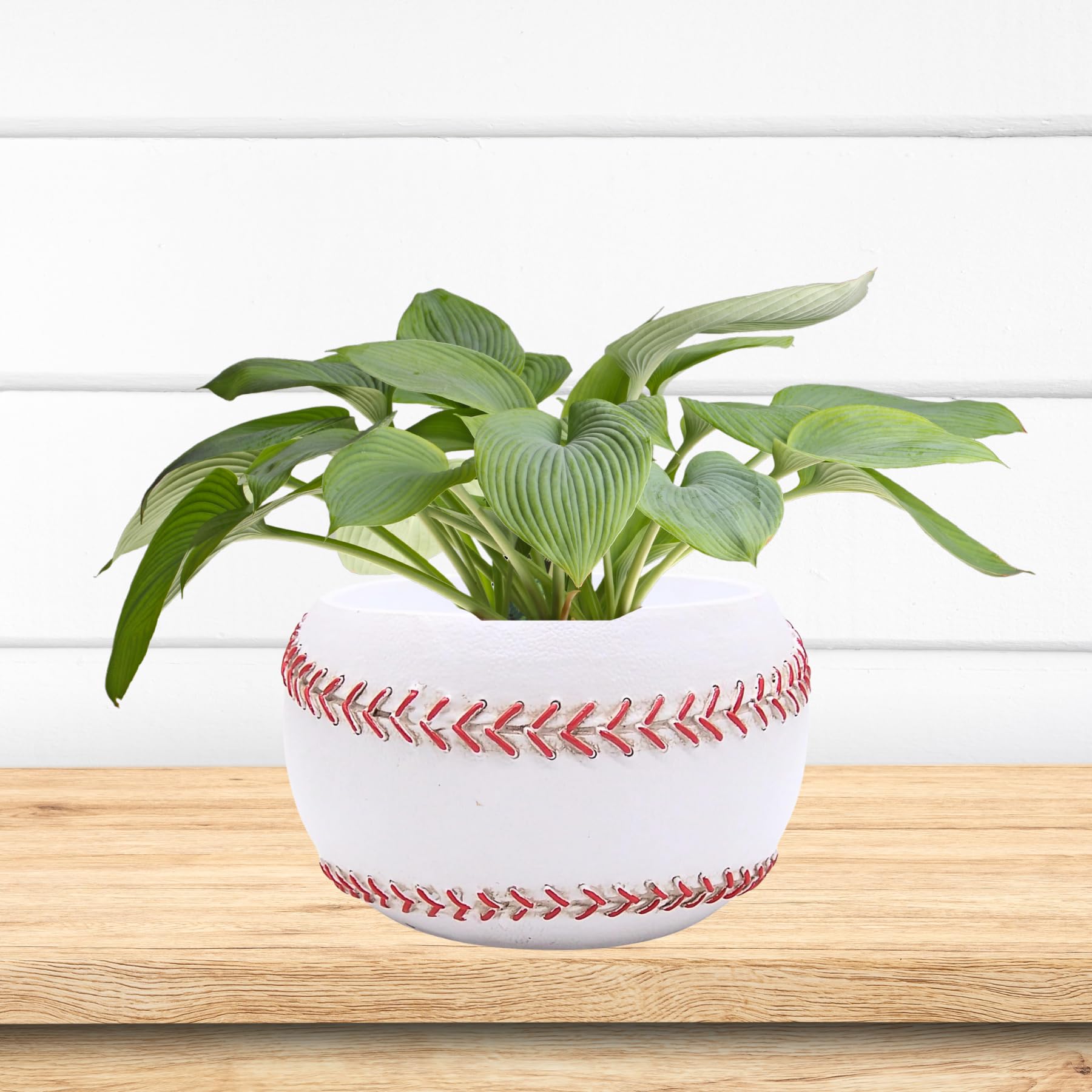 Snapklik.com : Baseball Shaped Planter, Sports Themed Decor ...