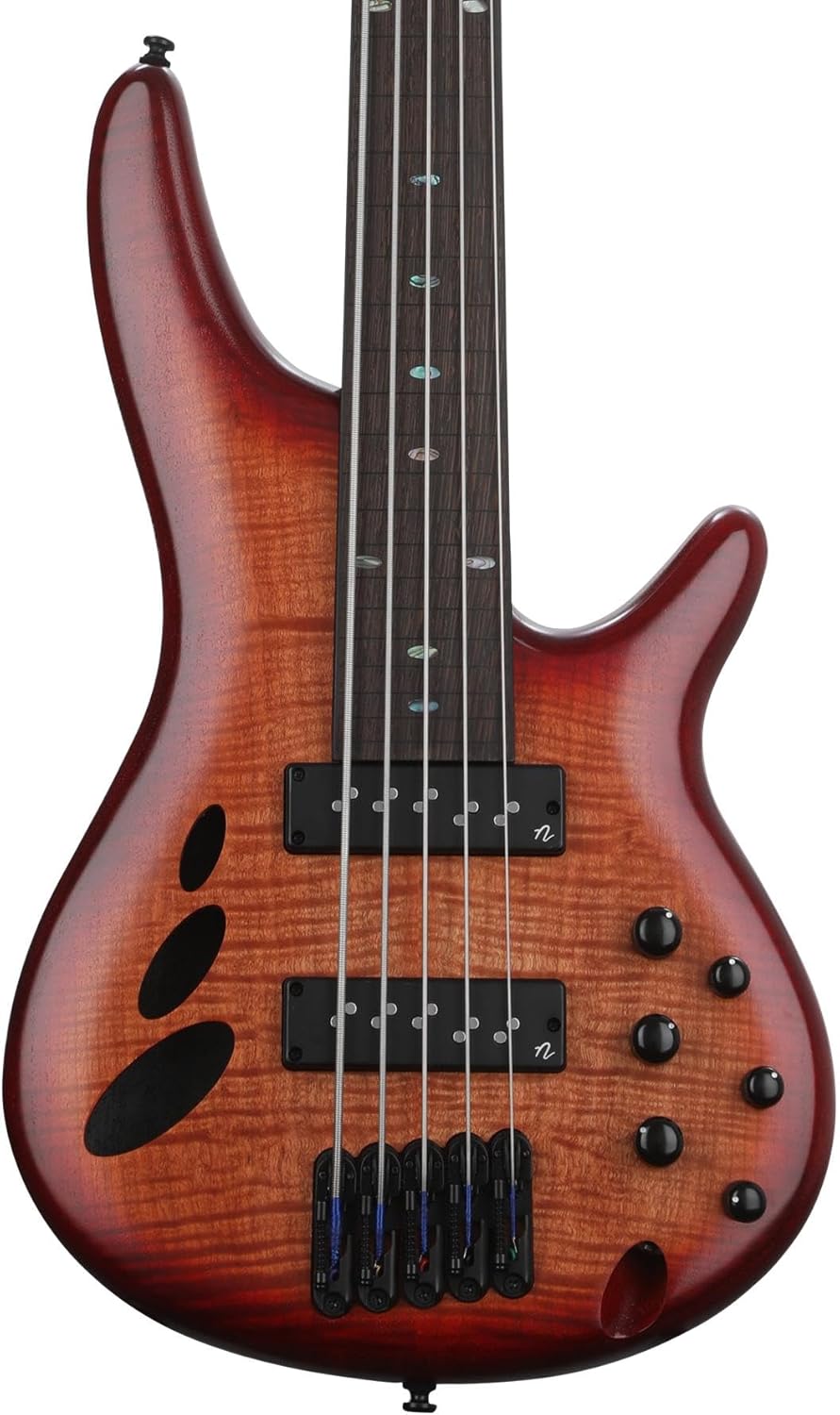 Amazon.com: Ibanez SR Bass Workshop Fretless 5-string Electric Bass ...