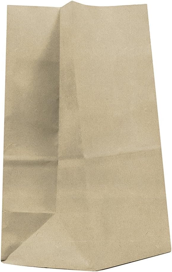 Amazon.com: GIFT EXPRESSIONS 20CT Paper Bag, Favor Sack,Biodegradable ...