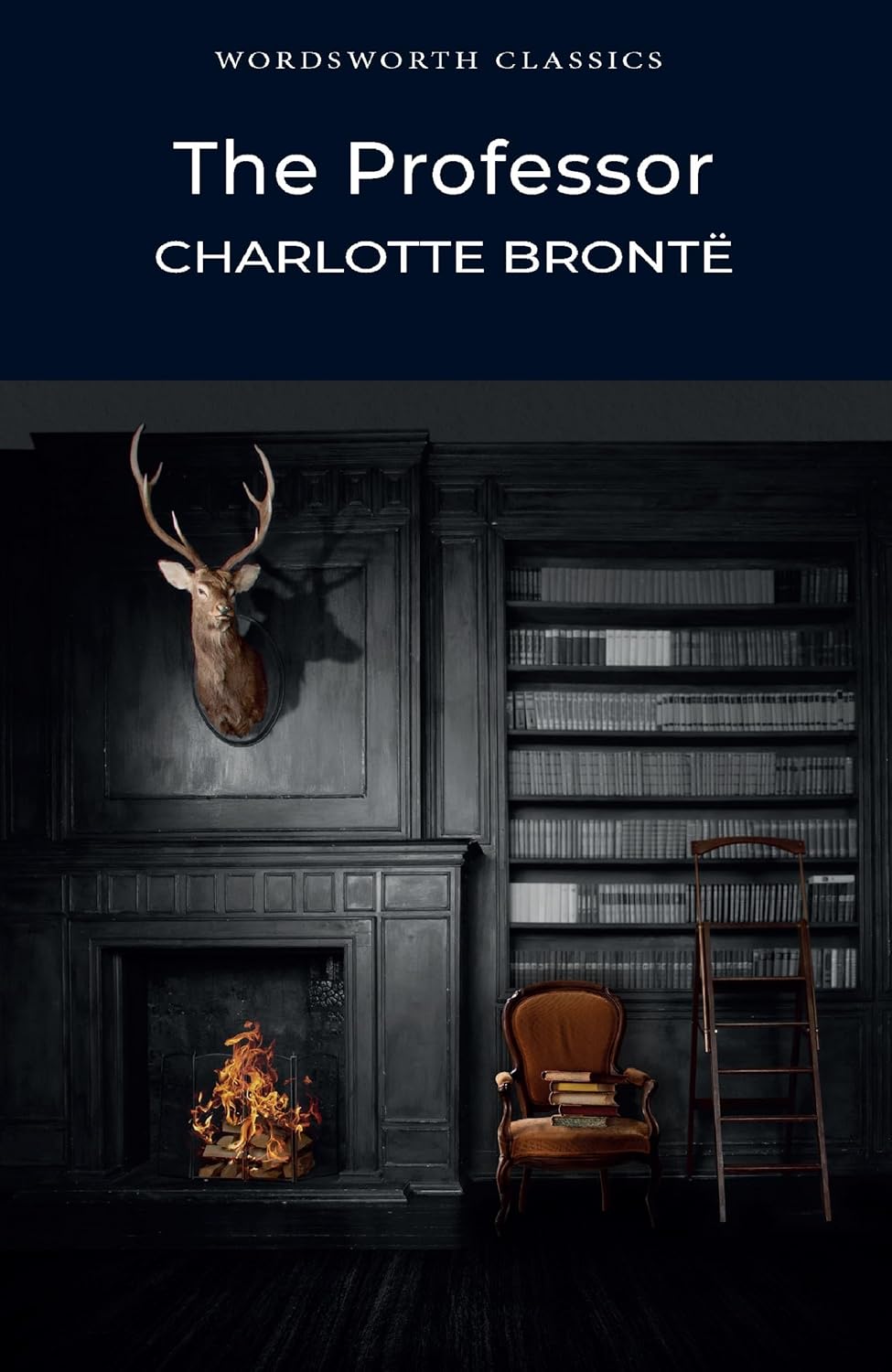 Professor (Wordsworth Classics): Charlotte Bronte: 9781853262081 ...