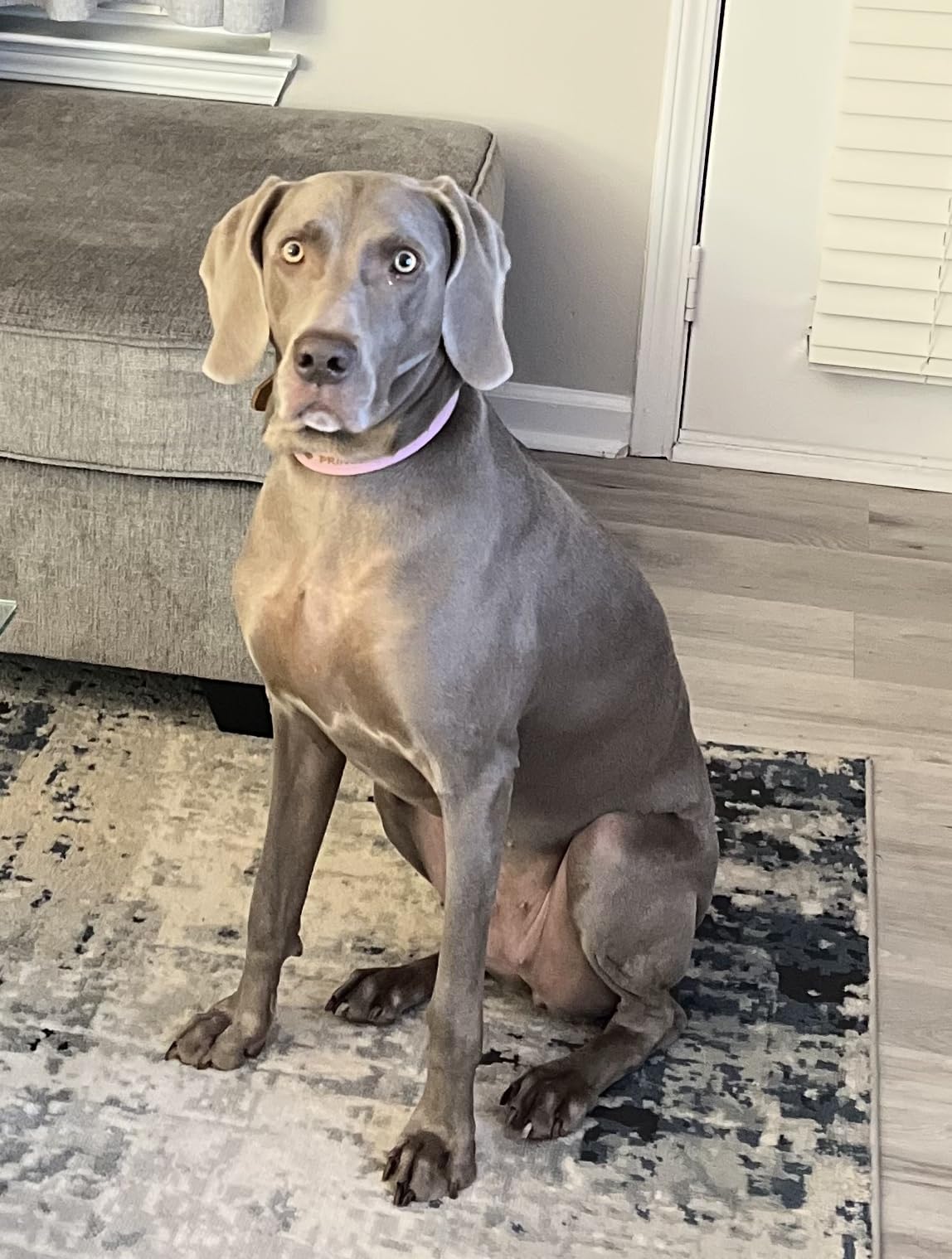 OMG It actually works!