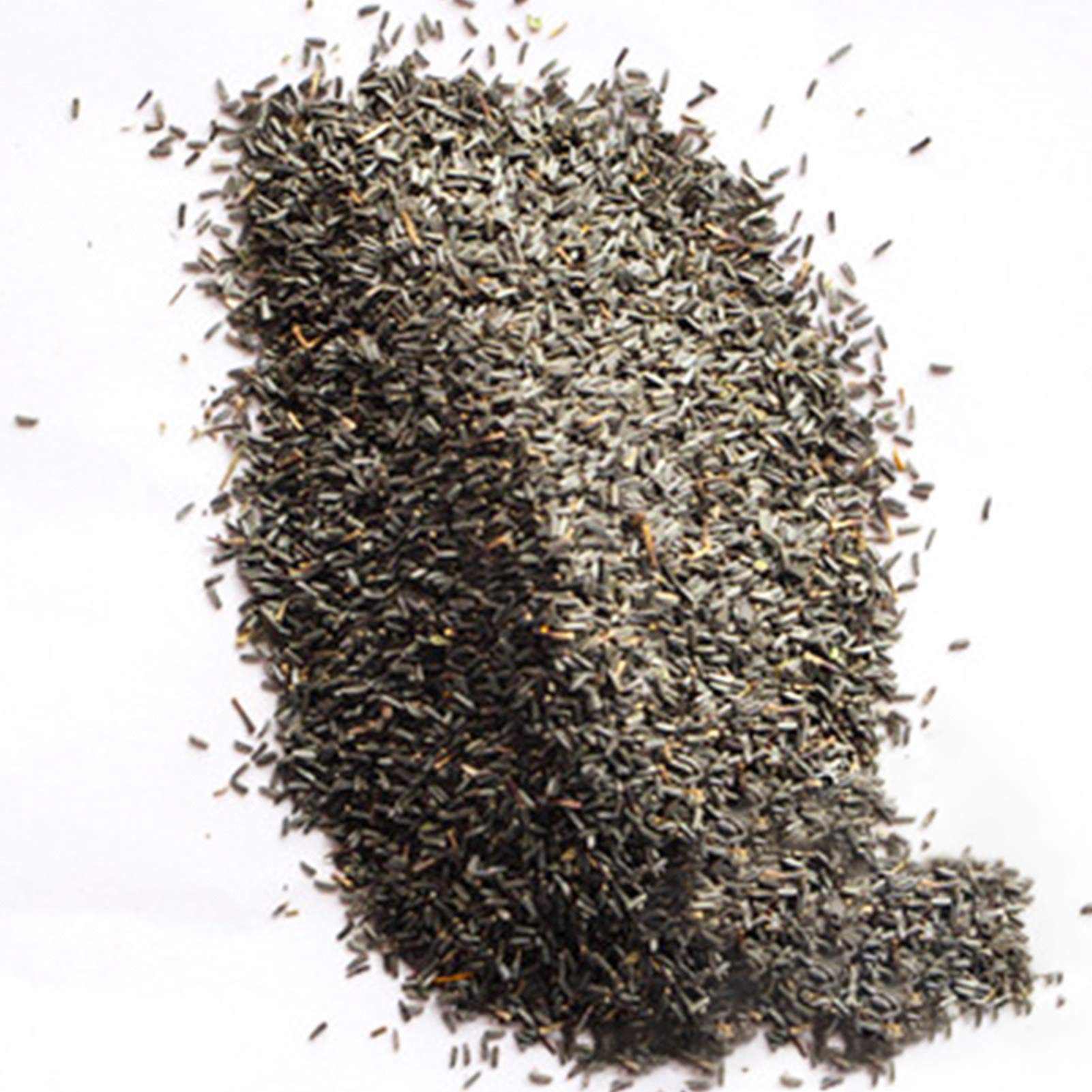 Rudbeckia Hirta Seed Black Eyed Susan, Rudbeckia (Rudbeckia Hirta)