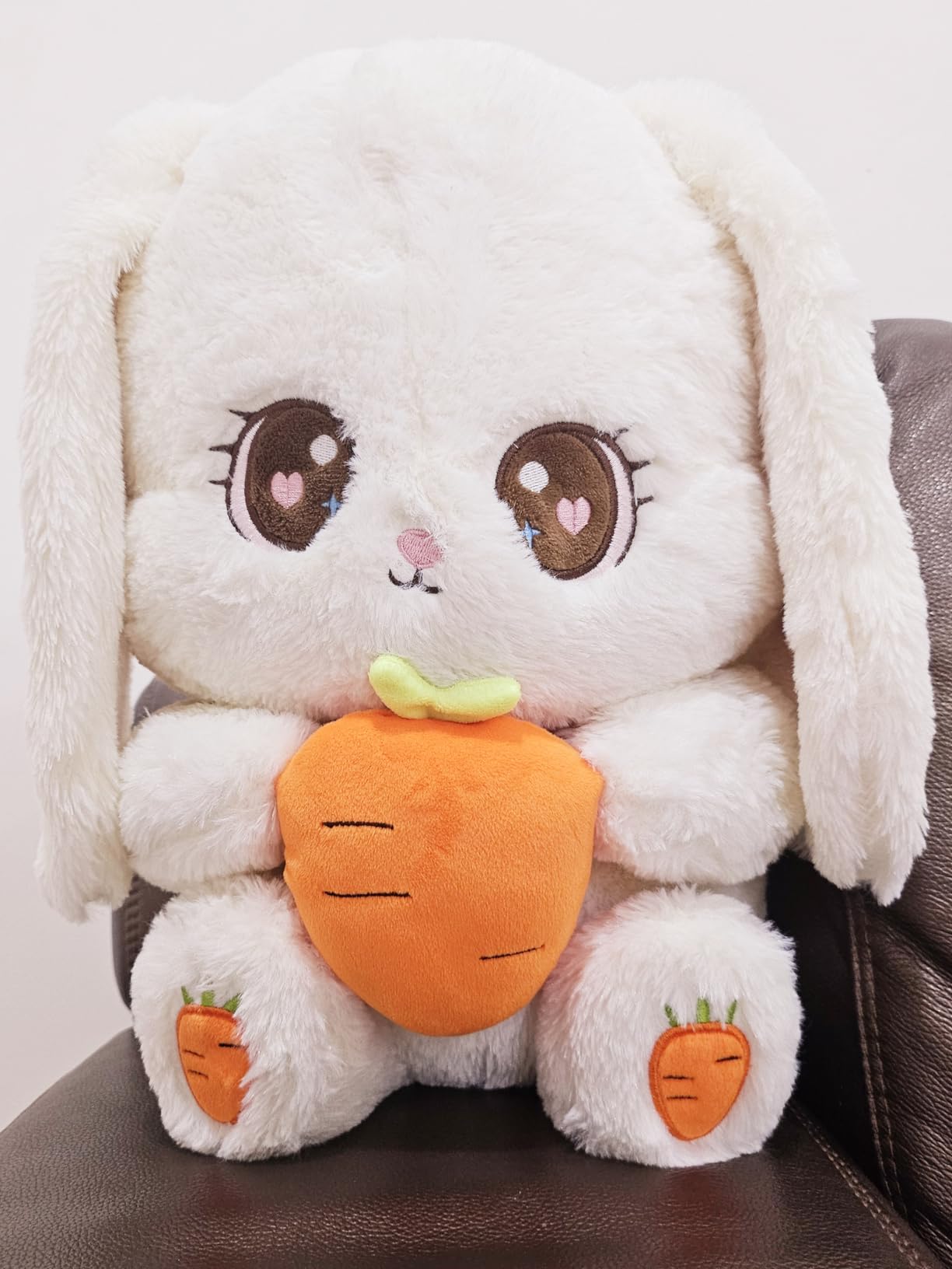 Buy KUTE HEART® Rabbit Soft Toy, Teddy Bear for Girls, Soft Toys for ...