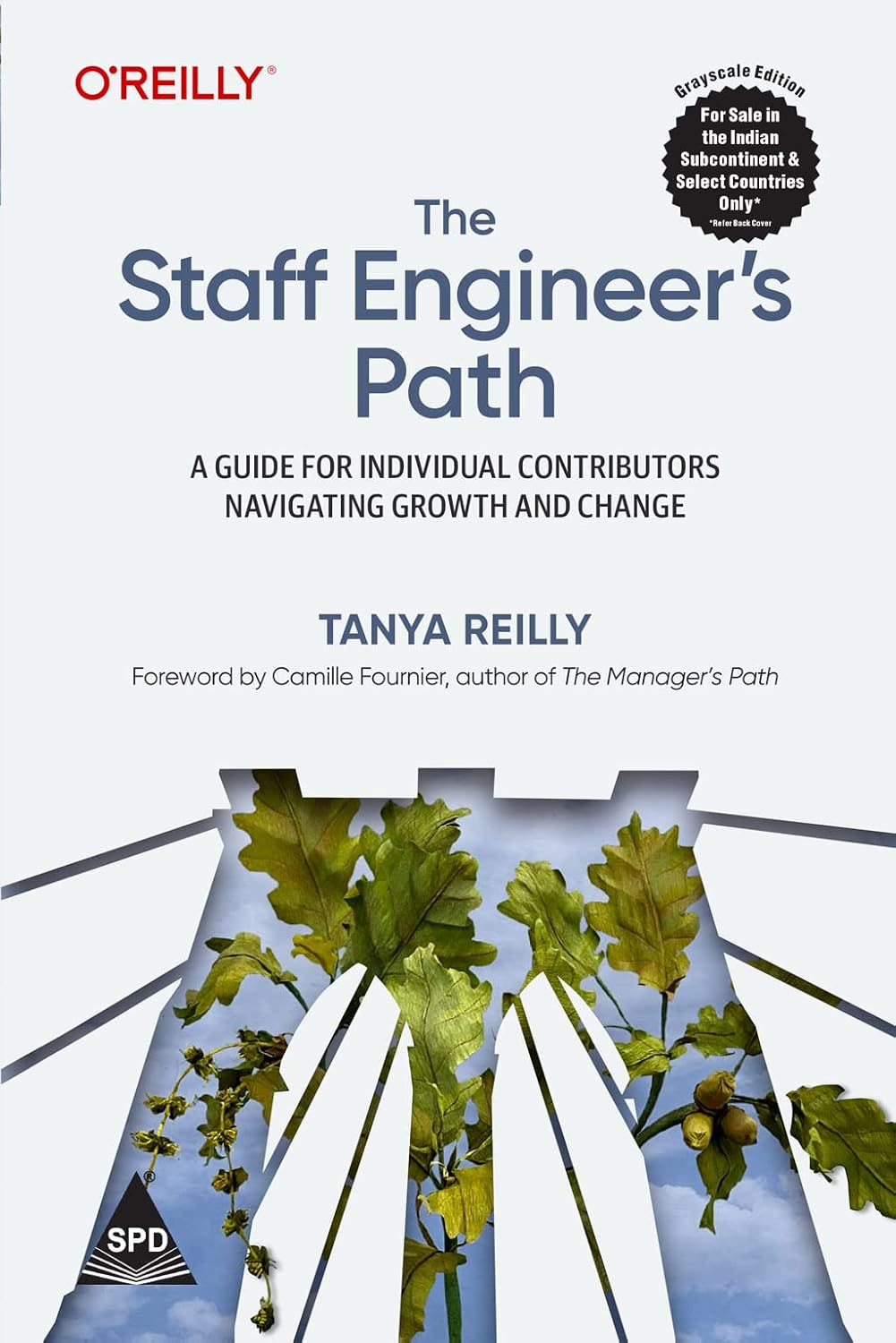Buy The Staff Engineer's Path: A Guide for Individual Contributors ...