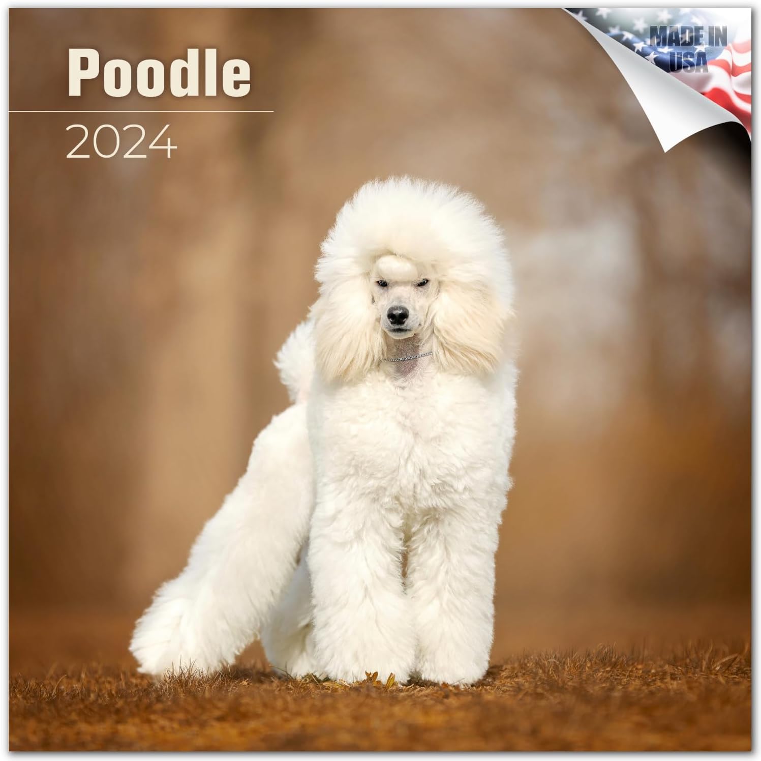 Amazon.com: Willow Creek Press Toy & Miniature Poodles Monthly 2024 ...