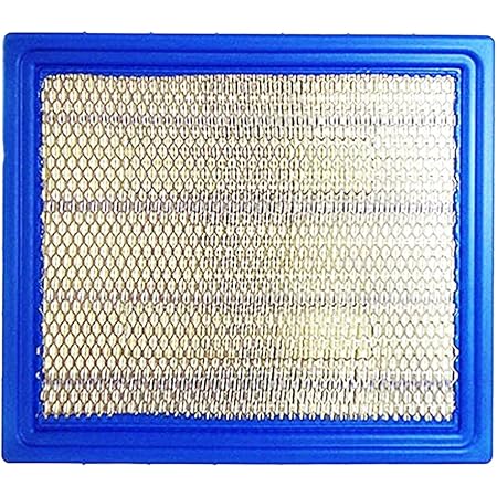 Amazon.com: Replaces OEM Part 7081706 Main Air Filter For 2012-2019 ...