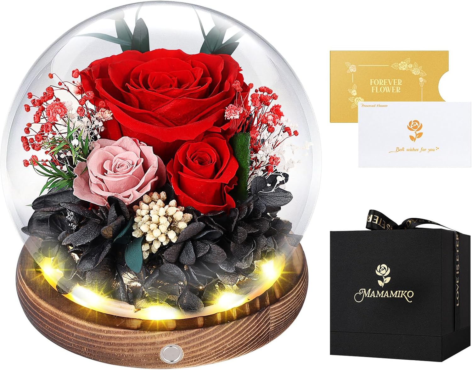 Amazon.com: MAMAMIKO Preserved Roses in Glass Dome with LED Light ...