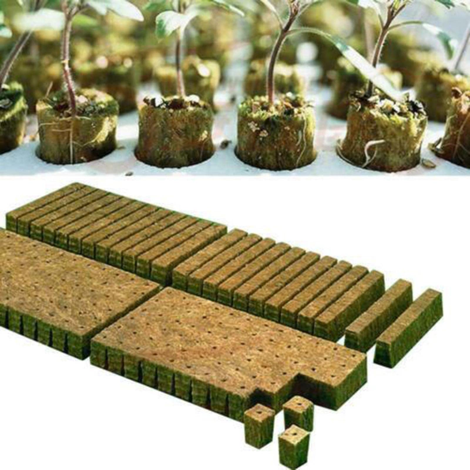 Hydroponic Starter Cubes Farmtek AquaCube Seedling Plug 25x25x35mm