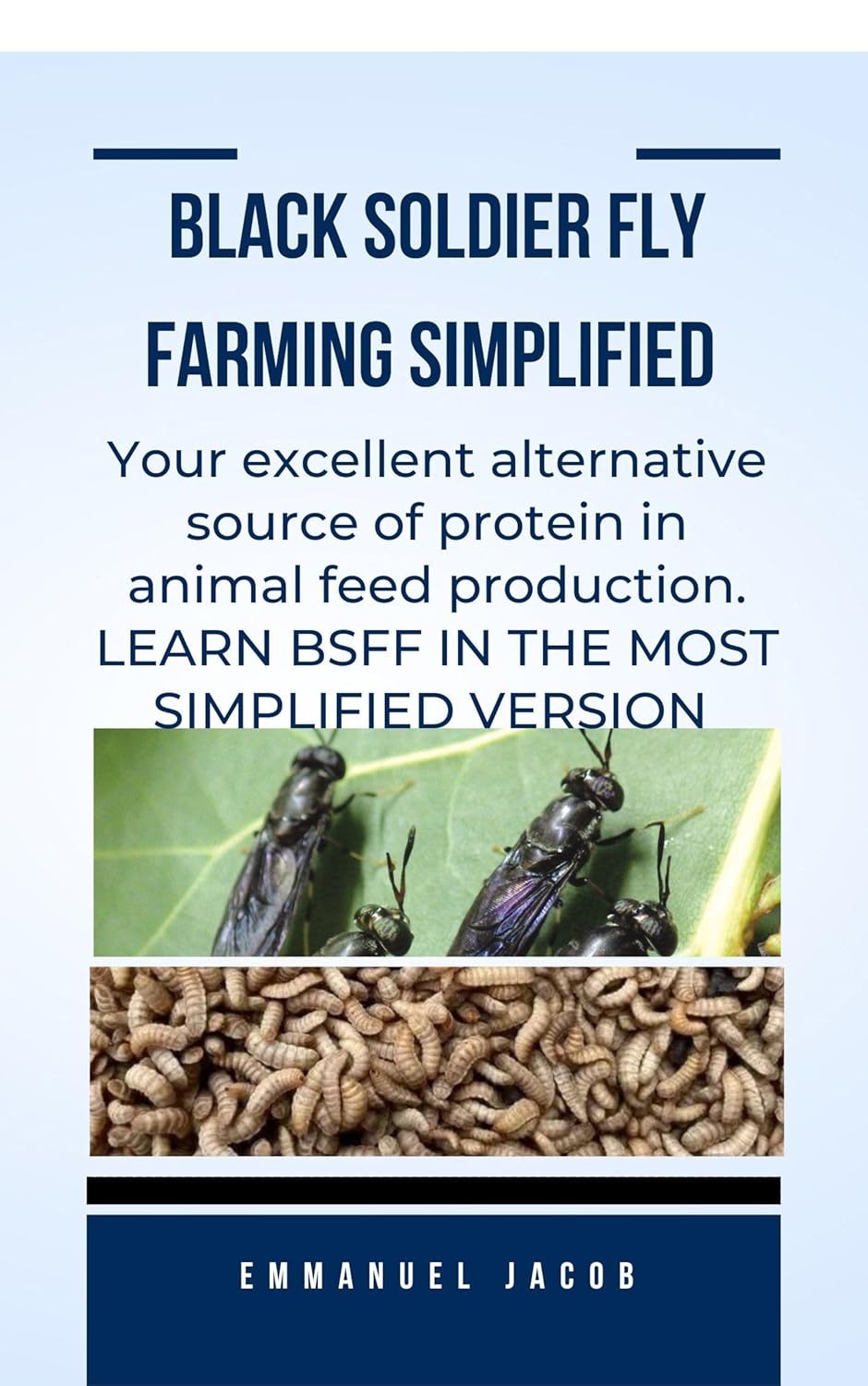 Black Soldier Fly Farming : Black soldier fly farming guaranteed ...