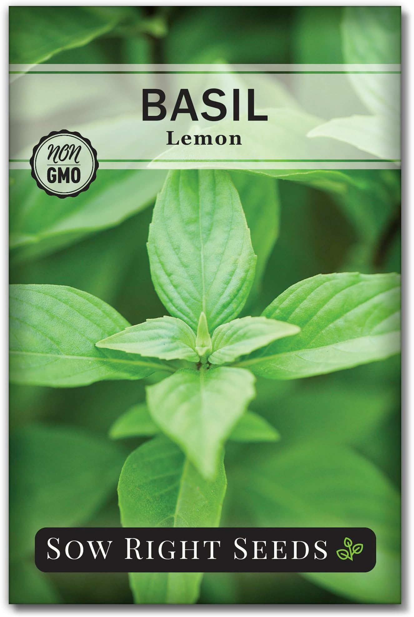 Amazon.com : Sow Right Seeds - Lemon Basil Seed for Planting - Non-GMO ...