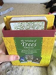 The Wisdom of Trees Oracle: Inspirational Cards for Wisdom and Guidance ...