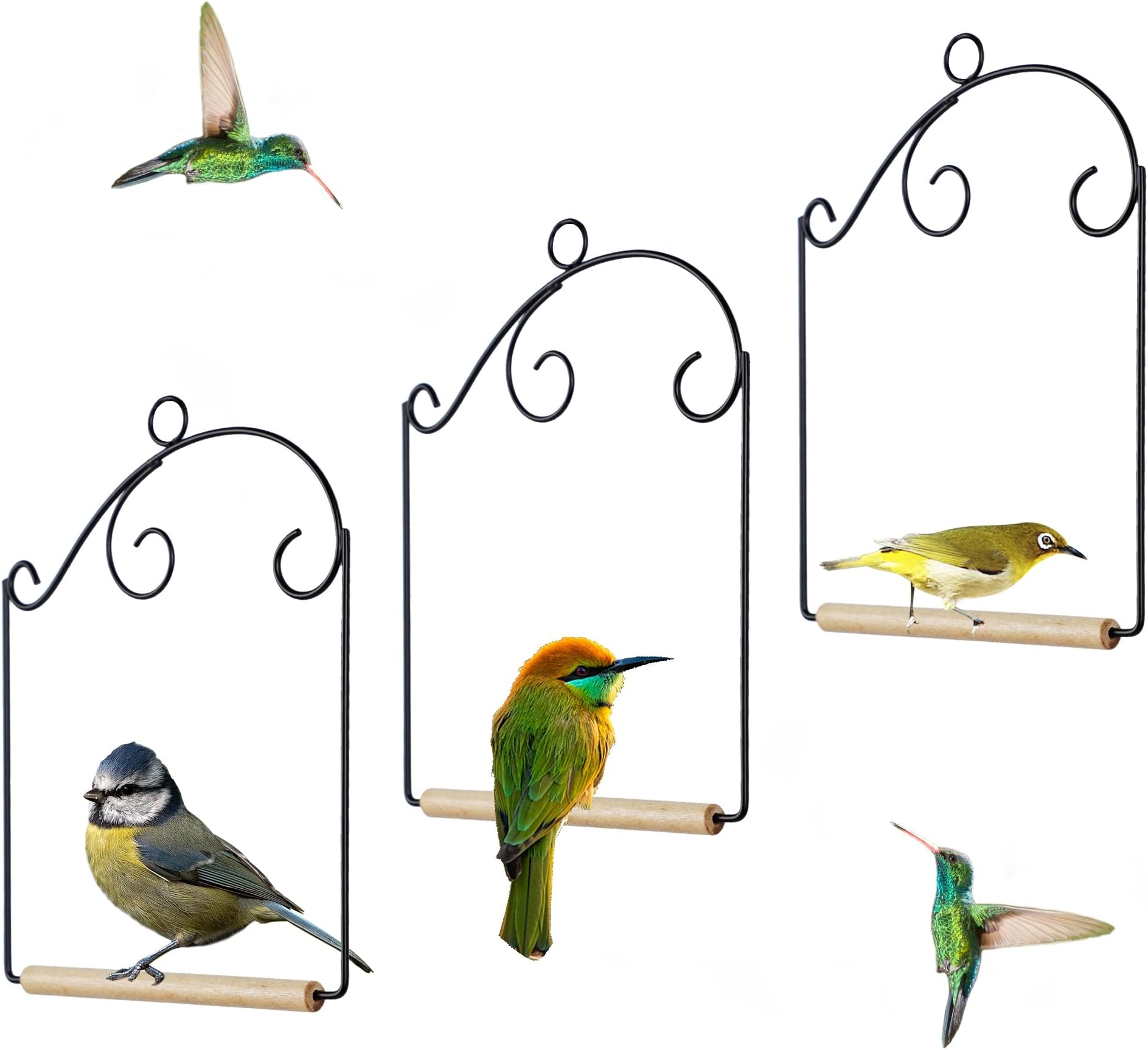 Amazon.com: 2 Pack Hummingbird Swing Metal Frame Hummingbird Perch Wild ...