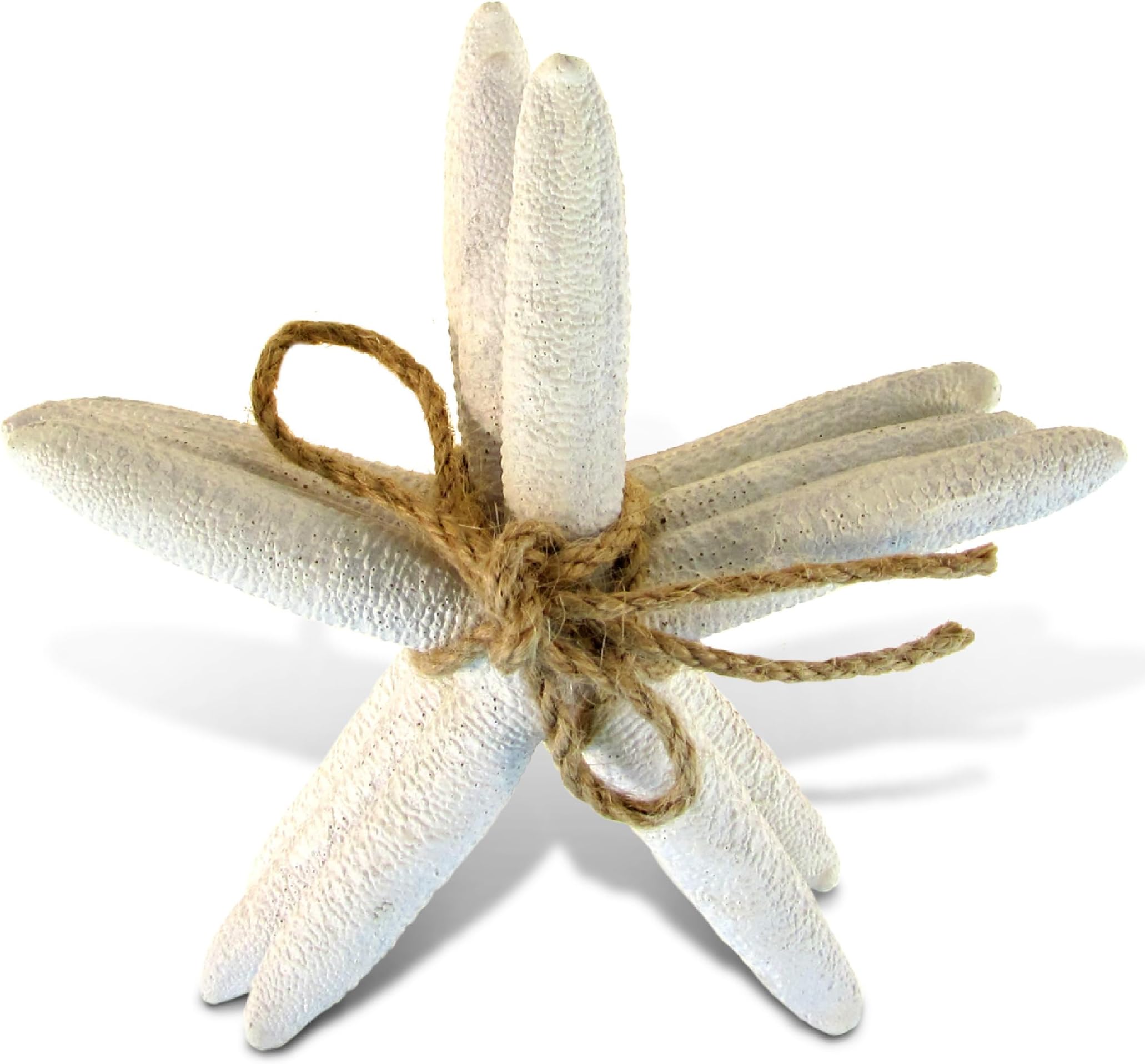 Amazon.com: Fitz and Floyd Fitz & Floyd Coastal Home Starfish Décor ...