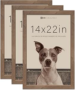 Amazon.com - VCK 14x22 Poster Frame 3 Pack - Brown Walnut, Natural ...