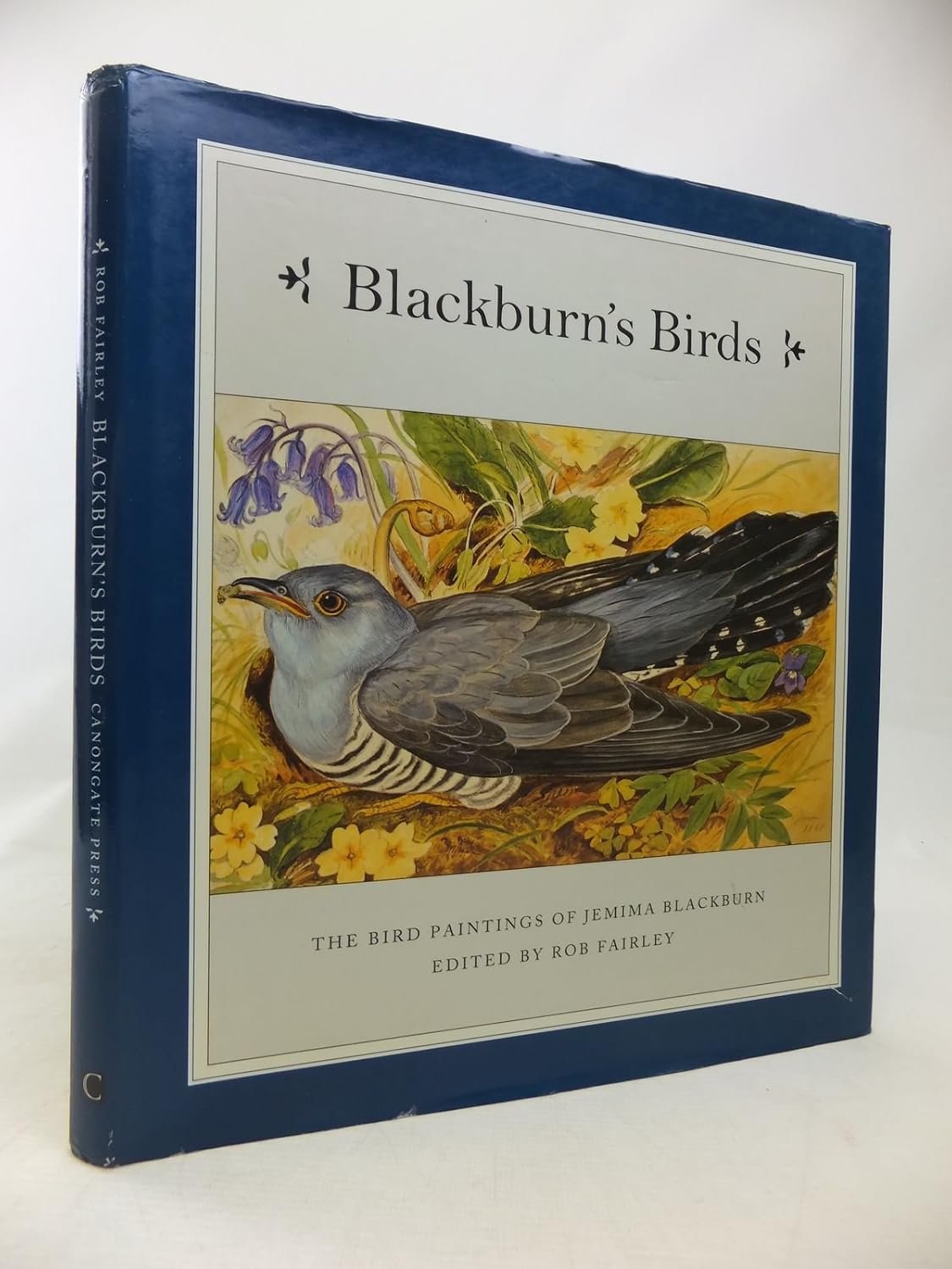 Blackburn's Birds: Blackburn, Jemima, Fairley, Rob: 9780862414368 ...