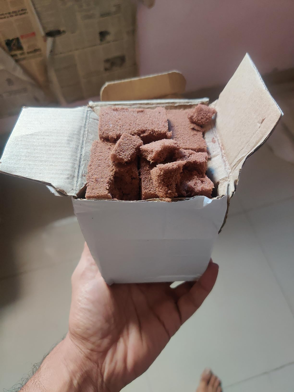 WE Hydroponics Oasis Cubes - Box of 40 Cubes, Soil Less Germination ...