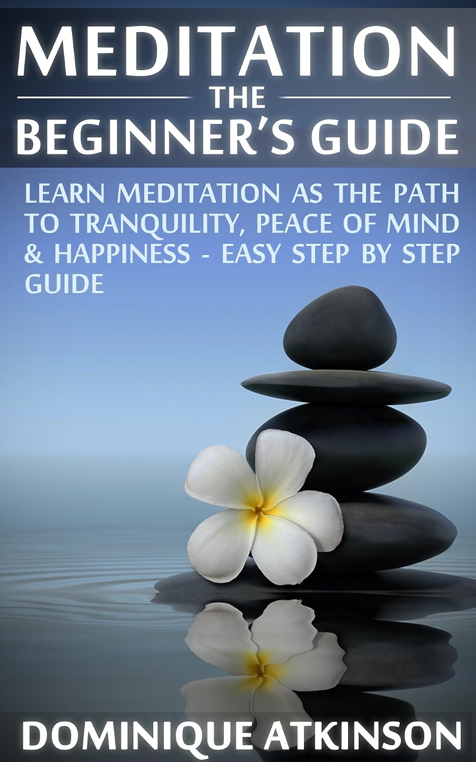 Amazon.com: Meditation Mastery: The Beginner's Guide. Learn Meditation ...