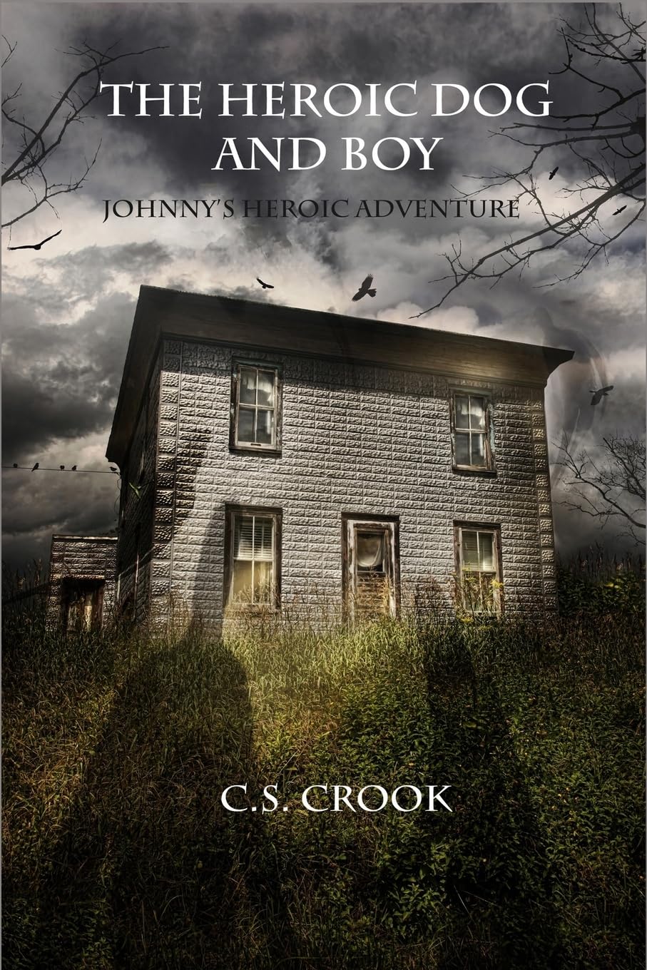 The Heroic Dog and Boy: Johnny's Heroic Adventure (Johnny's Adventure ...