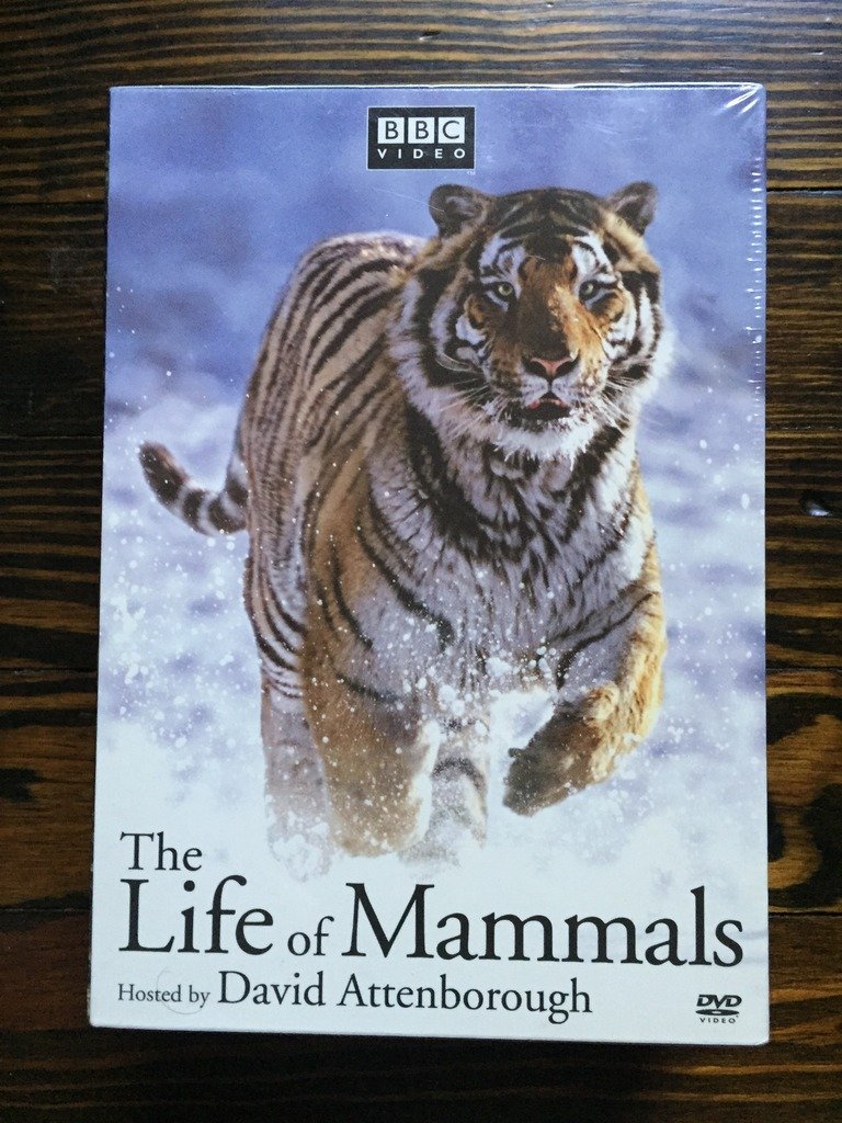 Amazon.com: The Life of Mammals [DVD] : David Attenborough: Movies & TV