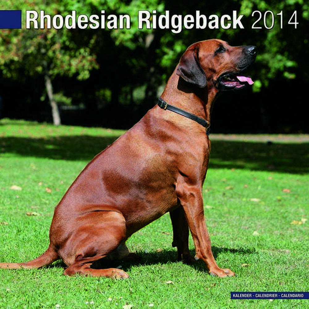 Rhodesian Ridgeback 2014 : Amazon.co.uk: Books