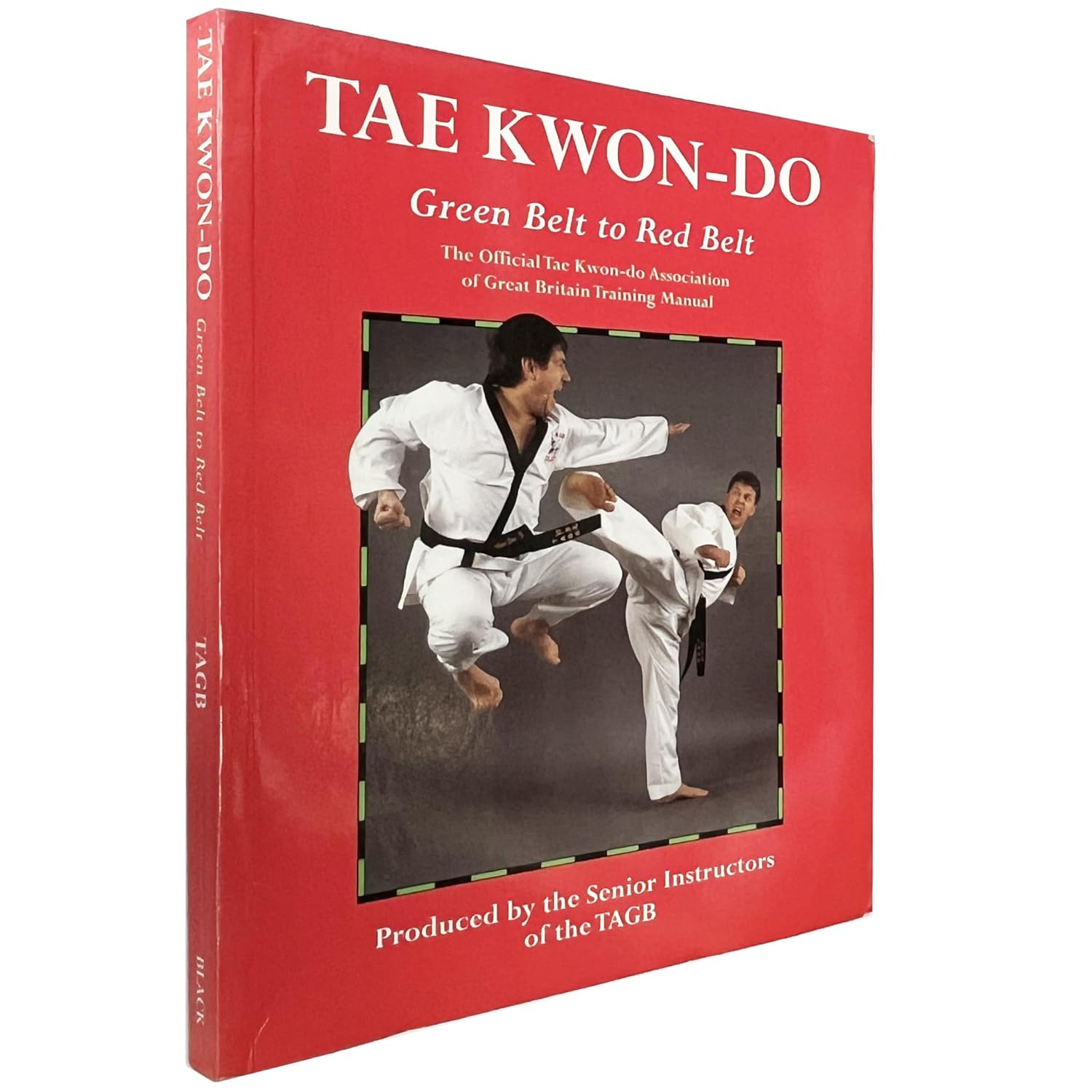 Tae Kwon-Do: Green Belt to Red Belt: SENIOR INSTRUCTORS OF THE TAGB ...