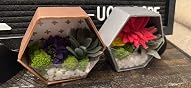 Craft Crush – Mini Terrariums Craft Kit – Make 3 Geometric Terrariums ...