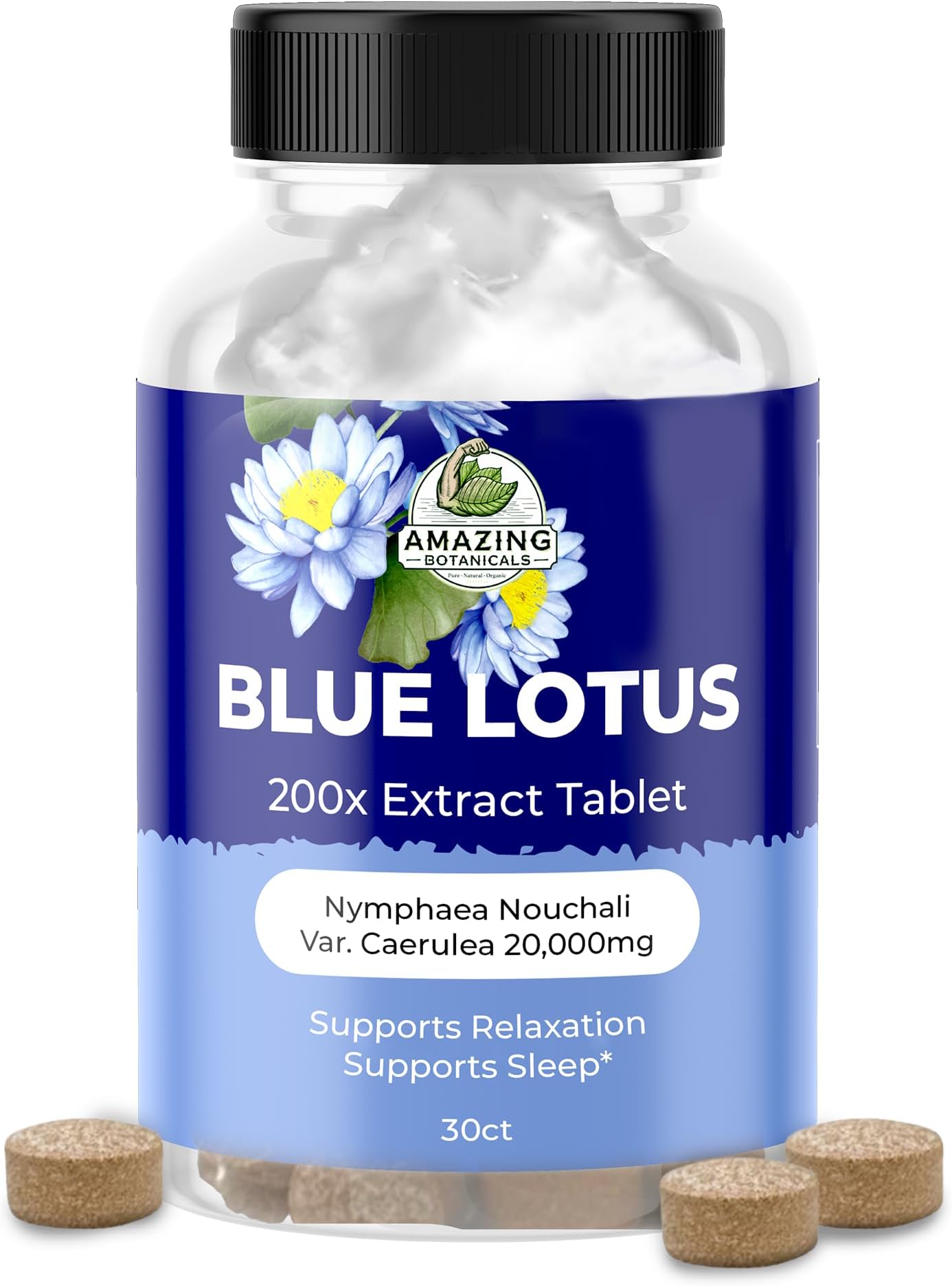 Amazon.com: Nutroaid Lions Mane Supplement - Mushroom Gummies - Mush ...