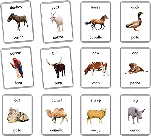 Amazon.com: Farm Animals Flash Cards - 27 Laminated Flashcards ...