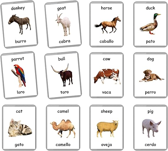 Amazon.com: Farm Animals Flash Cards - 27 Laminated Flashcards ...