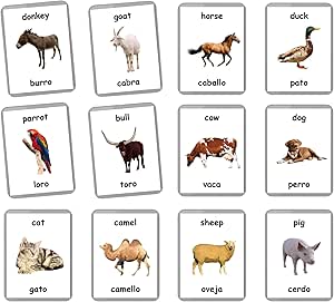 Amazon.com: Farm Animals Flash Cards - 27 Laminated Flashcards ...